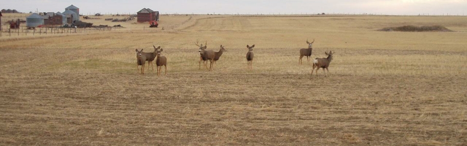 Calgary Bow Zone – Trophy Hunters Alberta